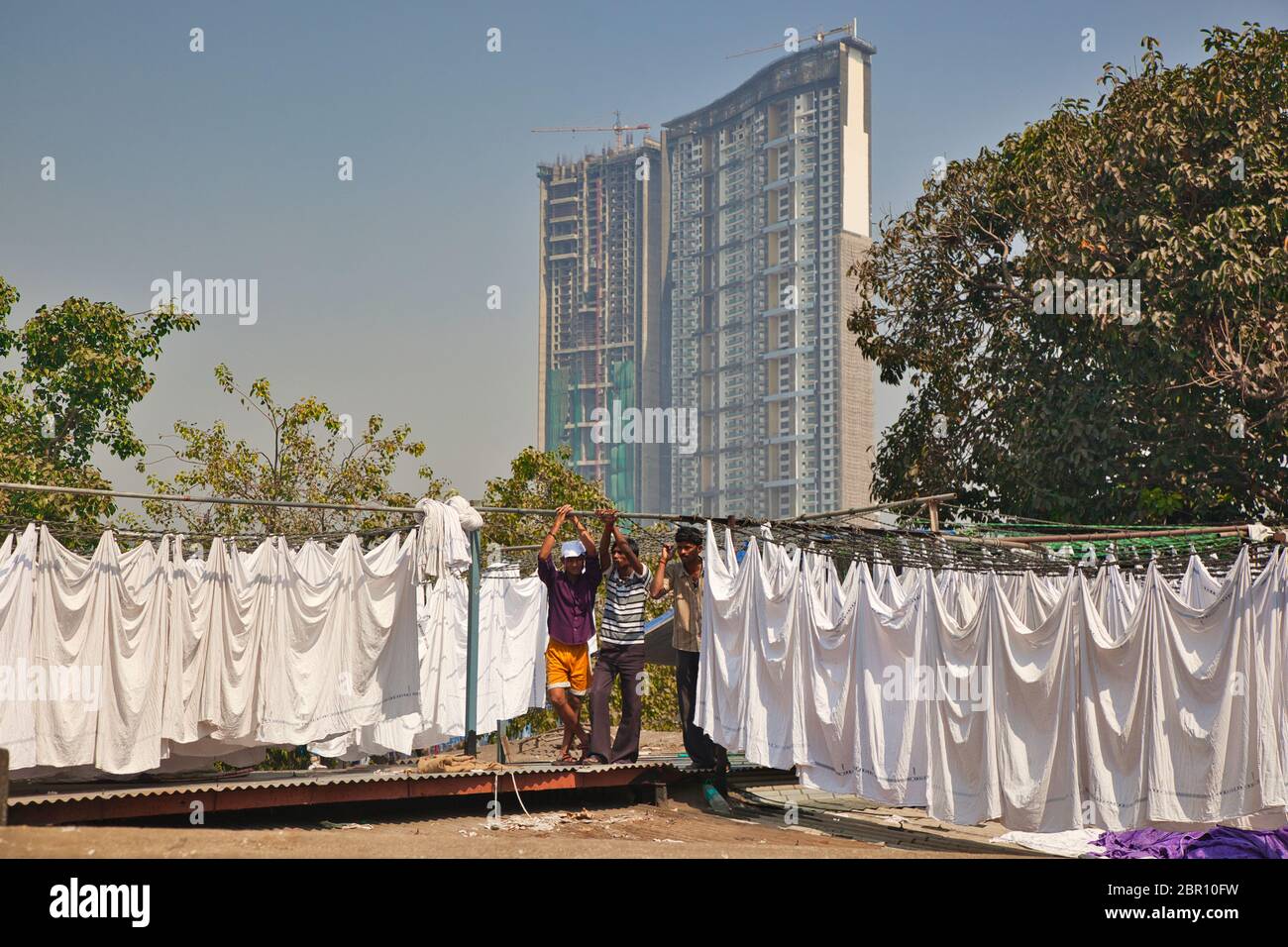 Hanging up washing to dry at a commercial laundry in Mumbai, Bombay in ...