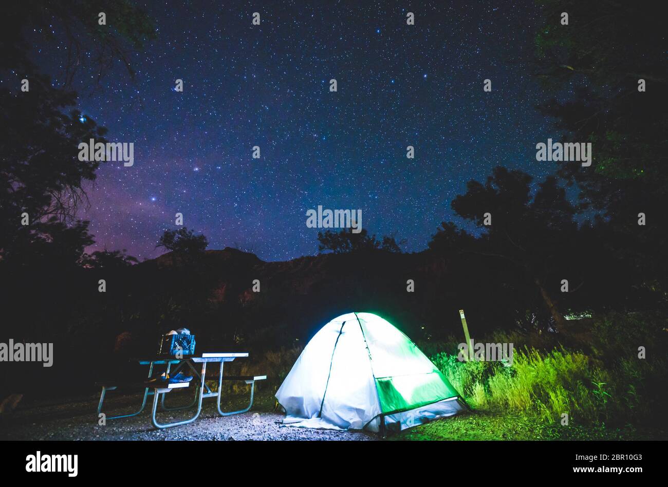 camping in campground area at night with star on the sky in national ...