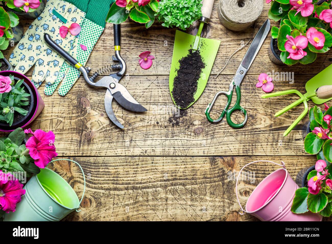 Gardening border with various flowers plant and garden tools on rustic ...