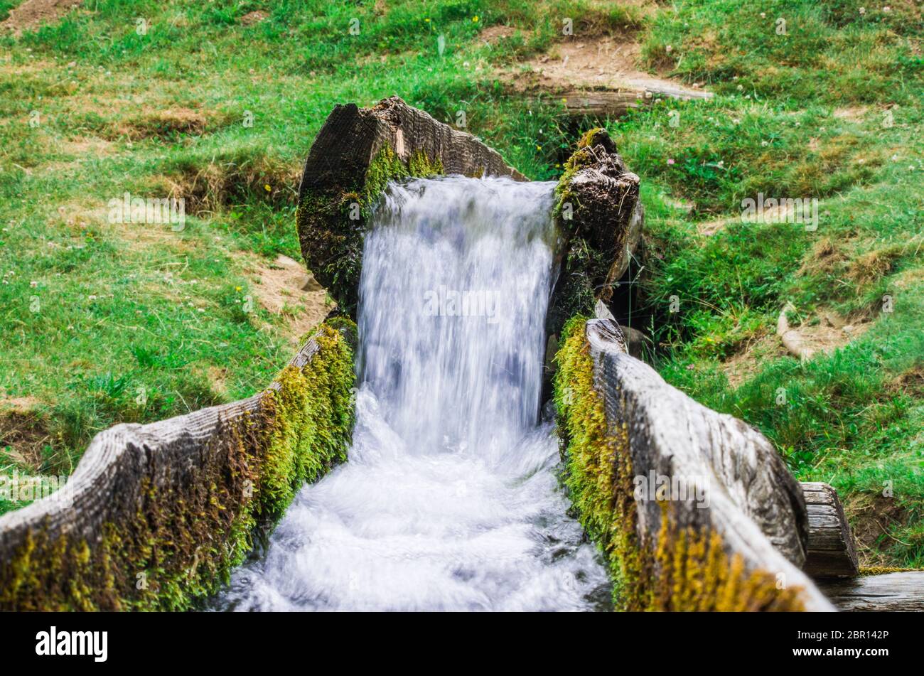 Clean fresh healthy biodiversity hi-res stock photography and images ...