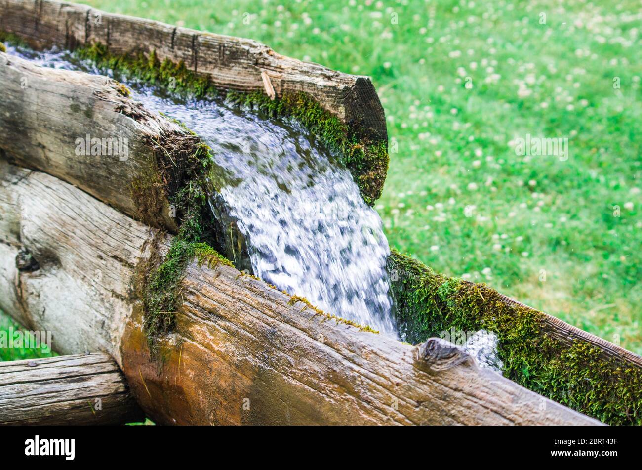 water source of life flows fresh and clean from the mountain to the ...