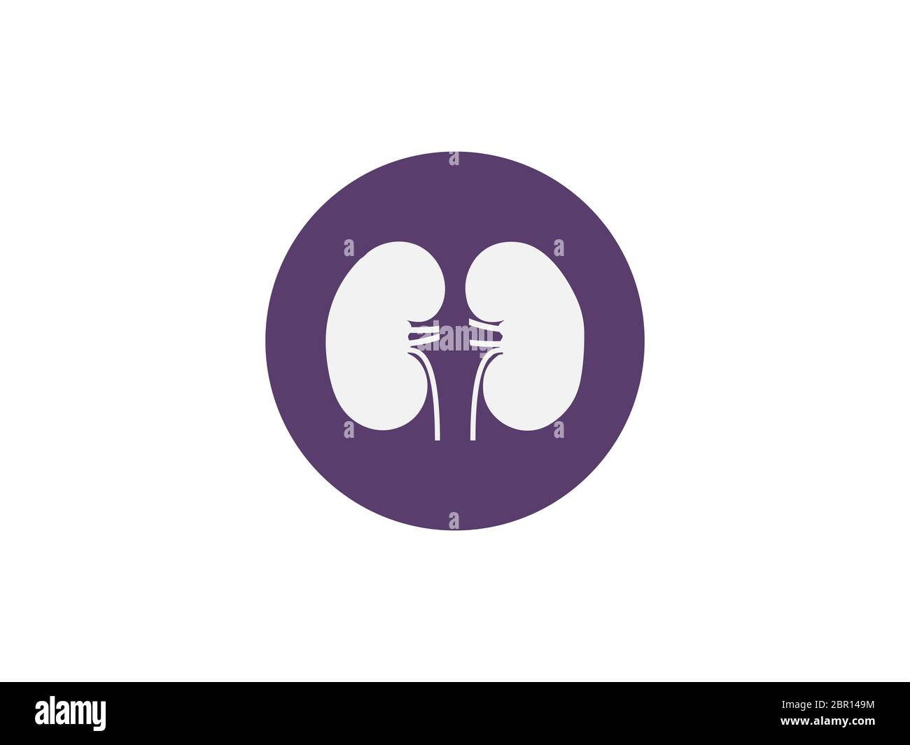 Kidneys, medical, organ icon. Vector illustration, flat design Stock ...