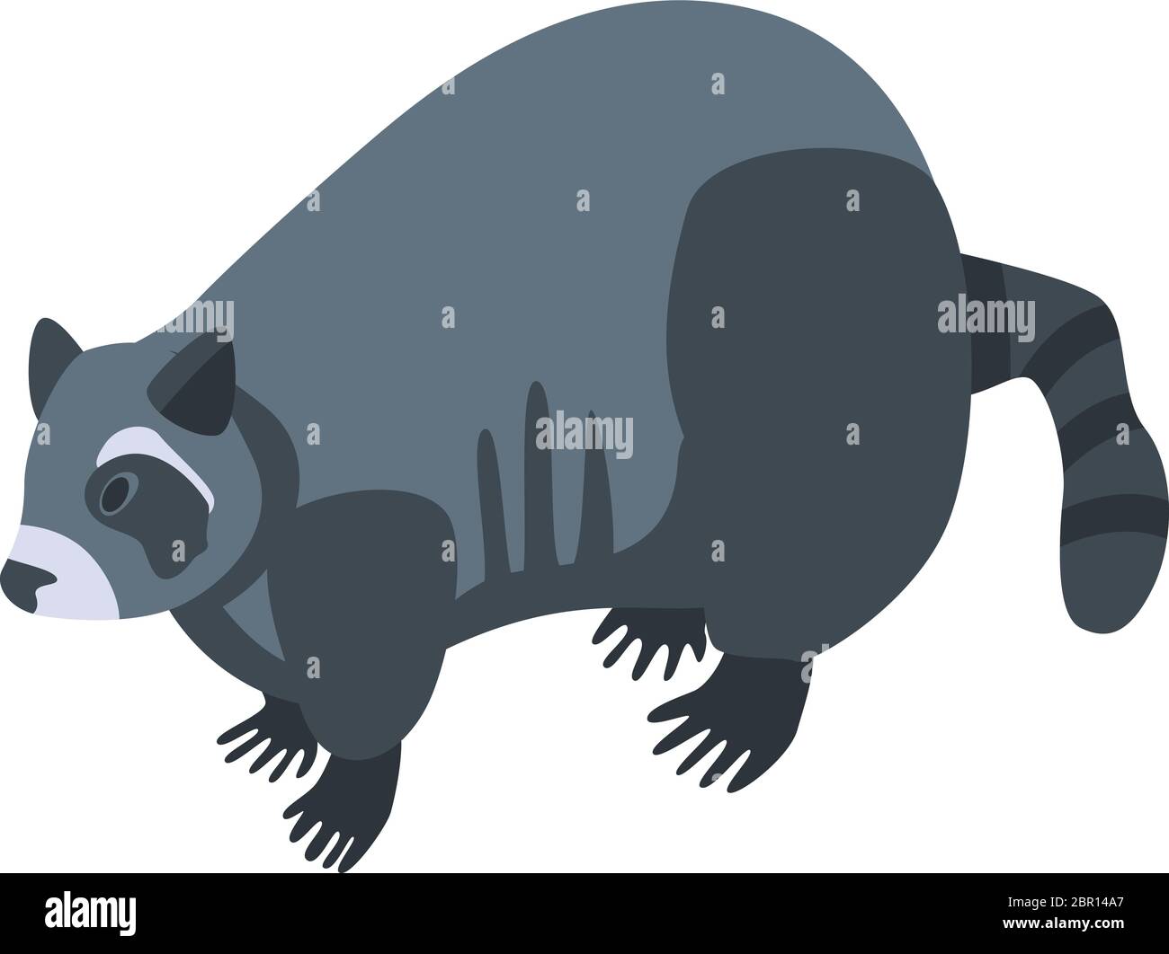 Fat raccoon icon, isometric style Stock Vector Image & Art - Alamy