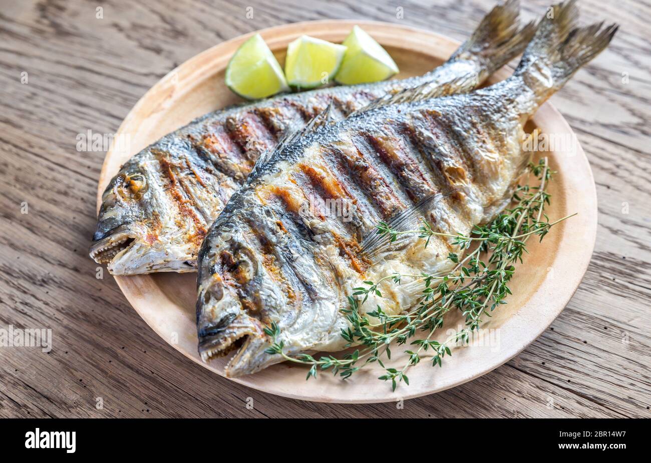Dorade Royale Fish Stock Photo - Alamy