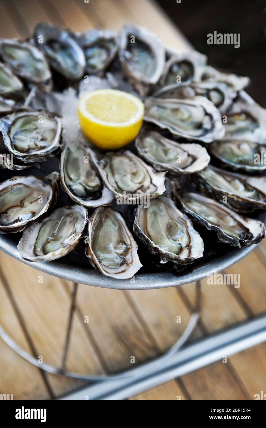 Tray of crustaceans in a seafood French restaurant Stock Photo - Alamy