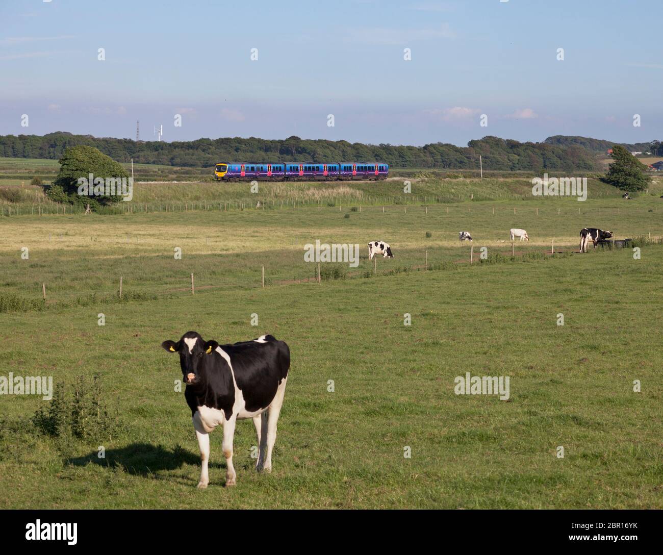 Siemens desiro hi-res stock photography and images - Alamy