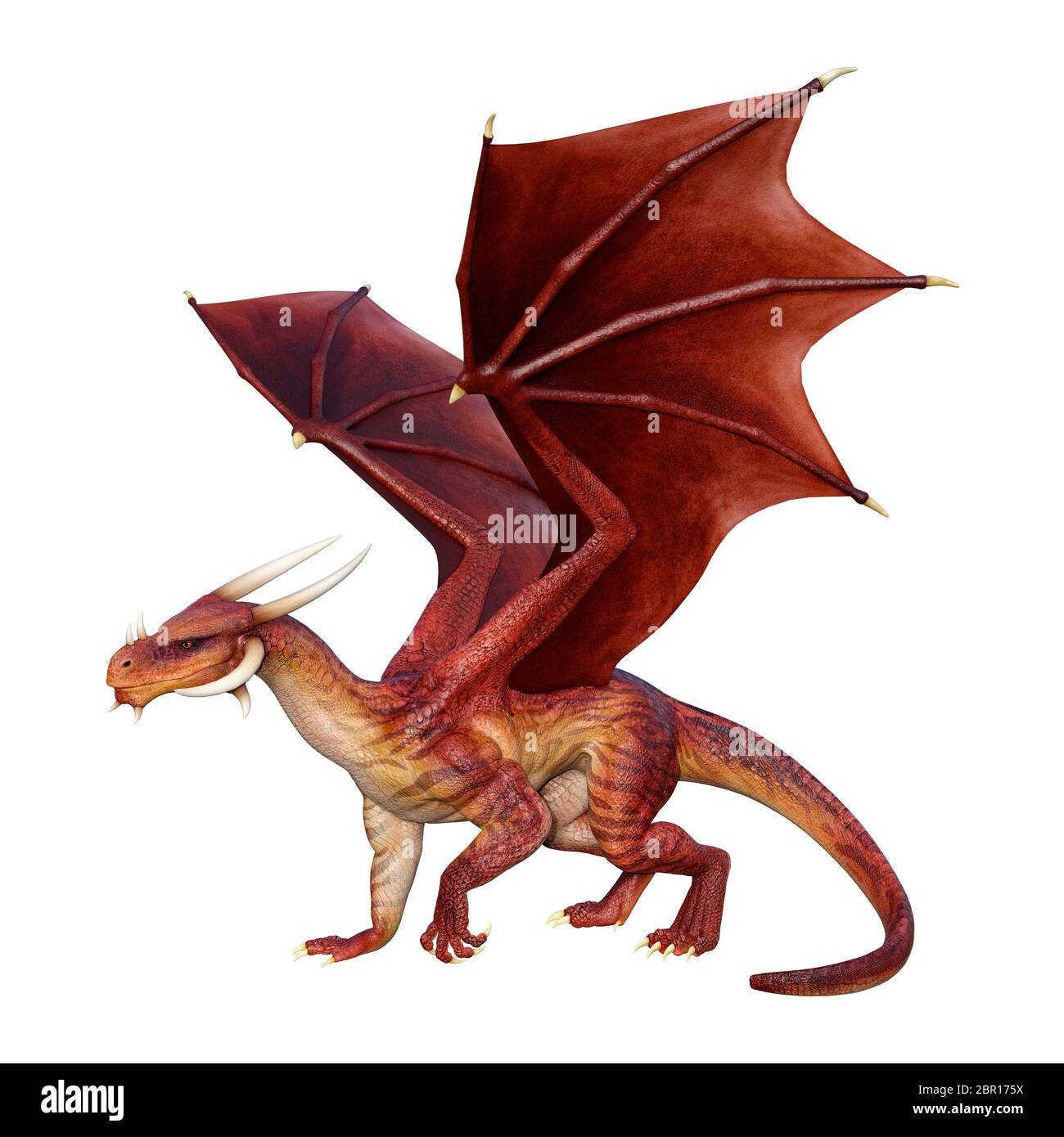 3D rendering of a red fantasy dragon isolated on white background Stock ...