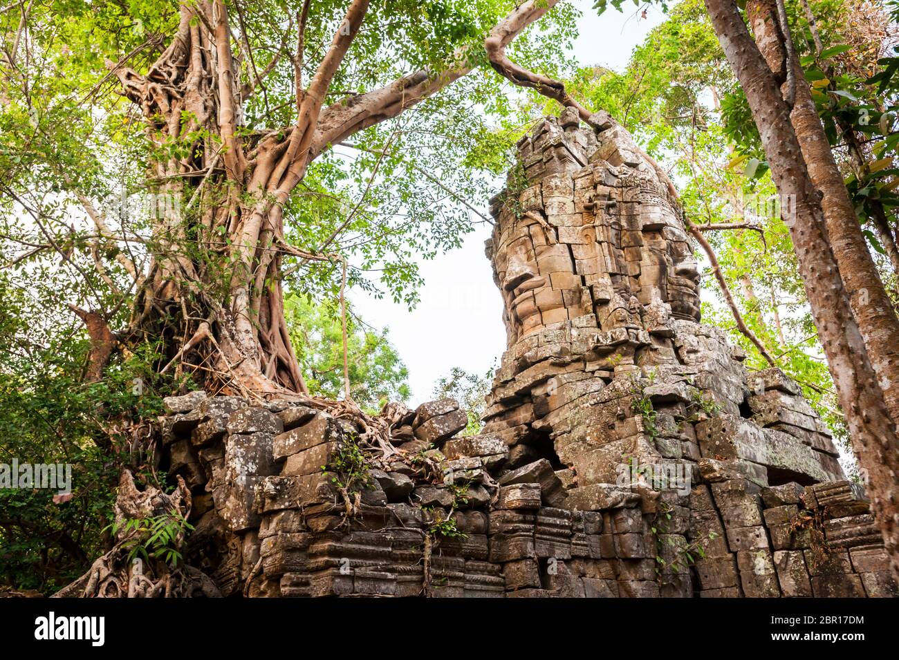 Heritage wals hi-res stock photography and images - Alamy