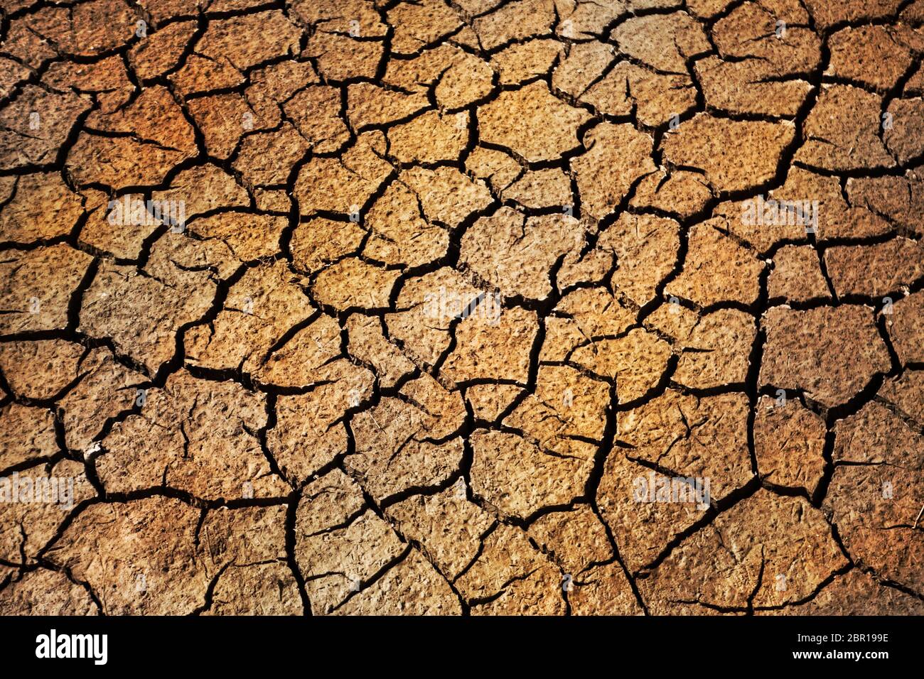 South africa desert floor hi-res stock photography and images - Alamy