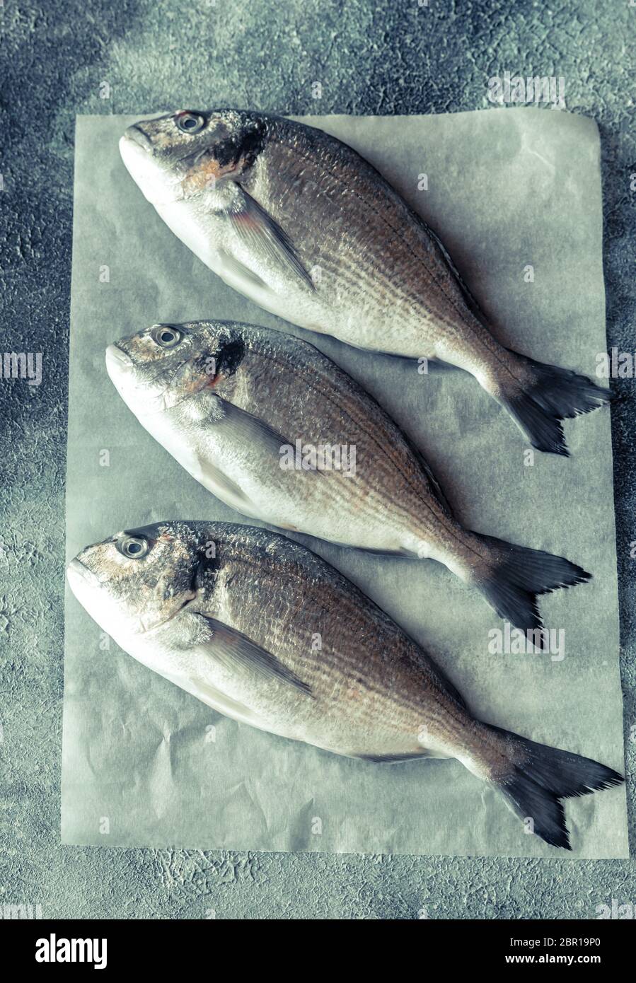 Sea bream (dorada) fish Stock Photo - Alamy