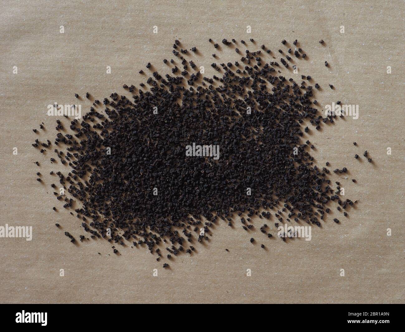 loose English breakfast tea leaves for brewing Stock Photo - Alamy