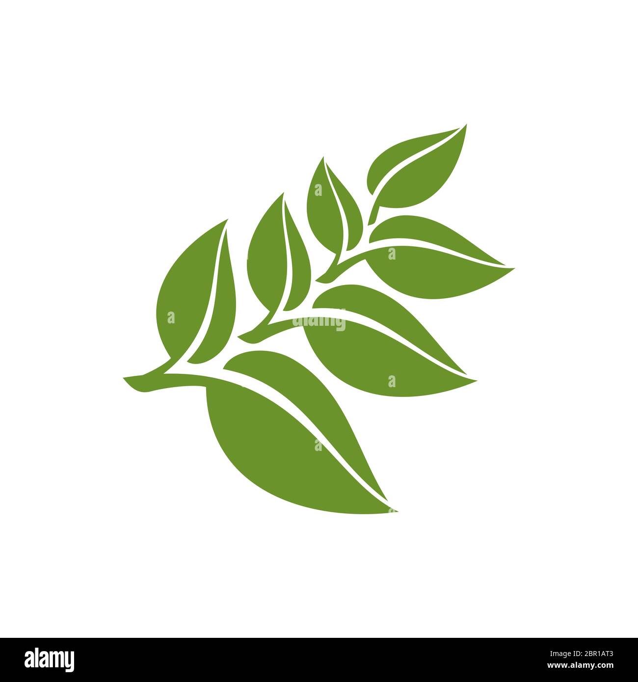 Green Leaves vector Logo Template Illustration Design. Vector EPS 10 ...