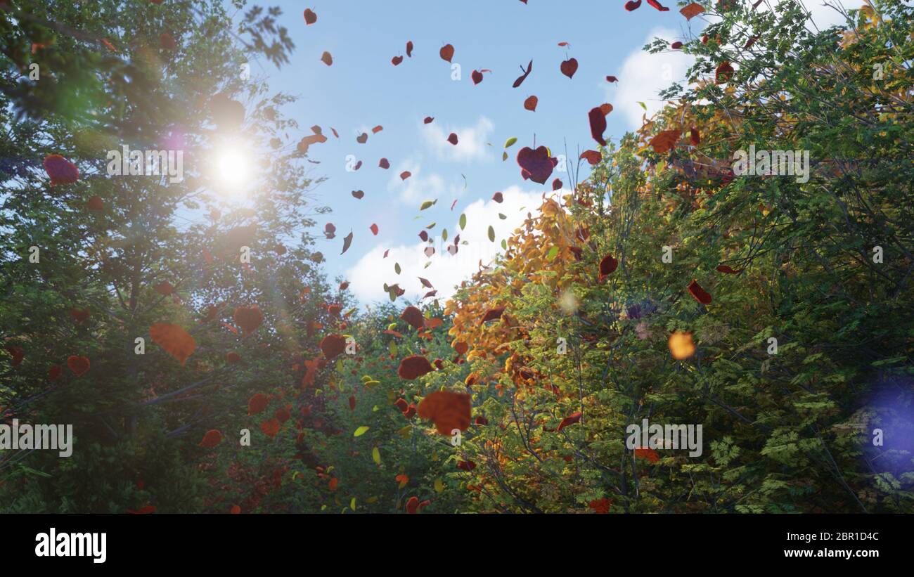 Autumn leaves fall from trees in autumn Park. Autumn colorful Park on a ...