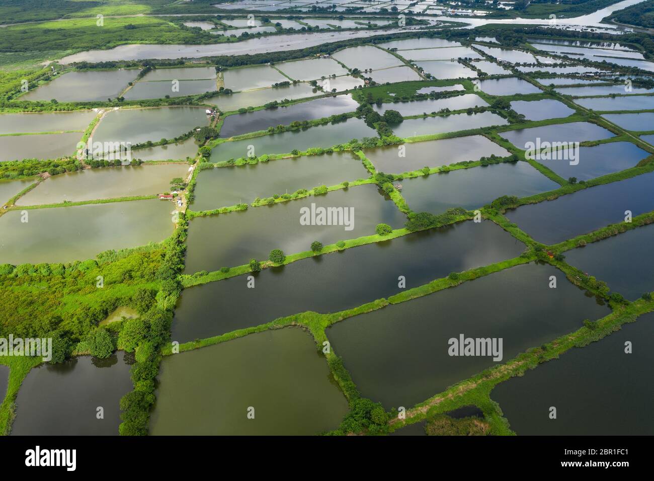 Top view fish breeding farm hi-res stock photography and images - Alamy