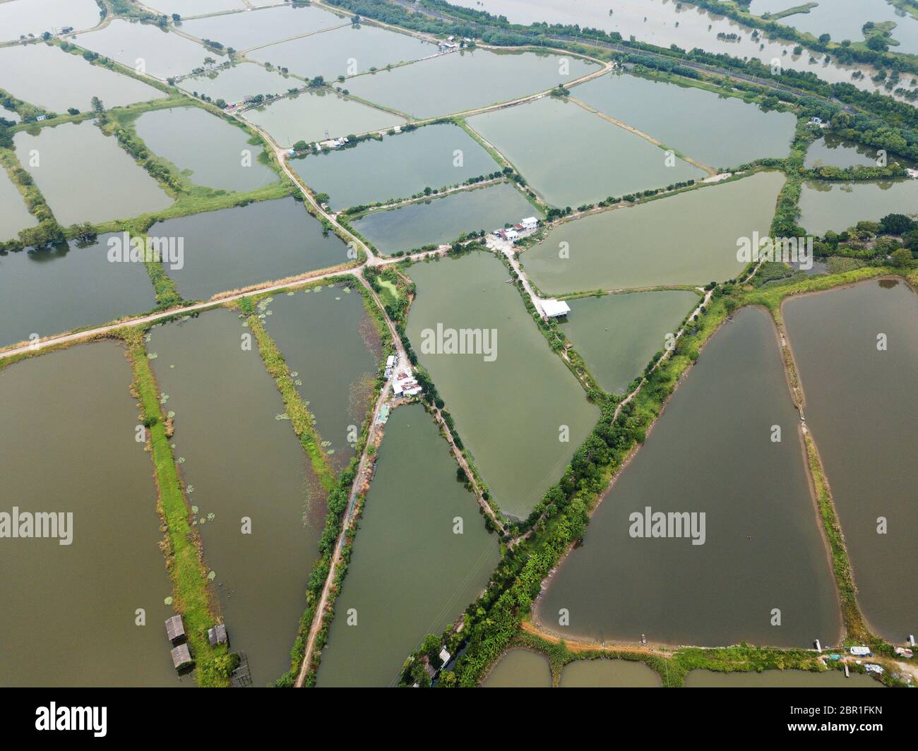 Top view Fish hatchery pond in Hong Kong Stock Photo - Alamy