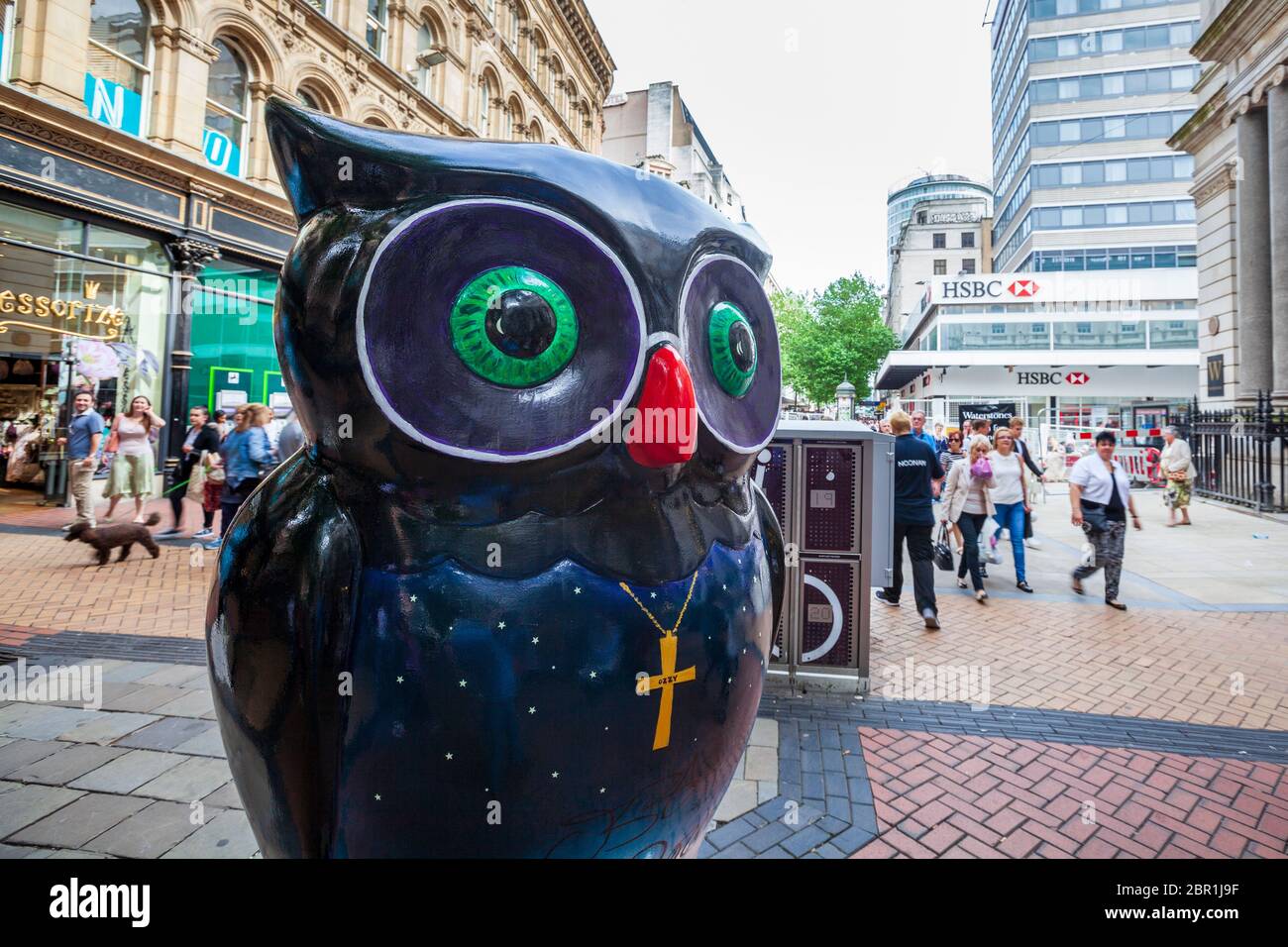 Ozzy owl hi-res stock photography and images - Alamy