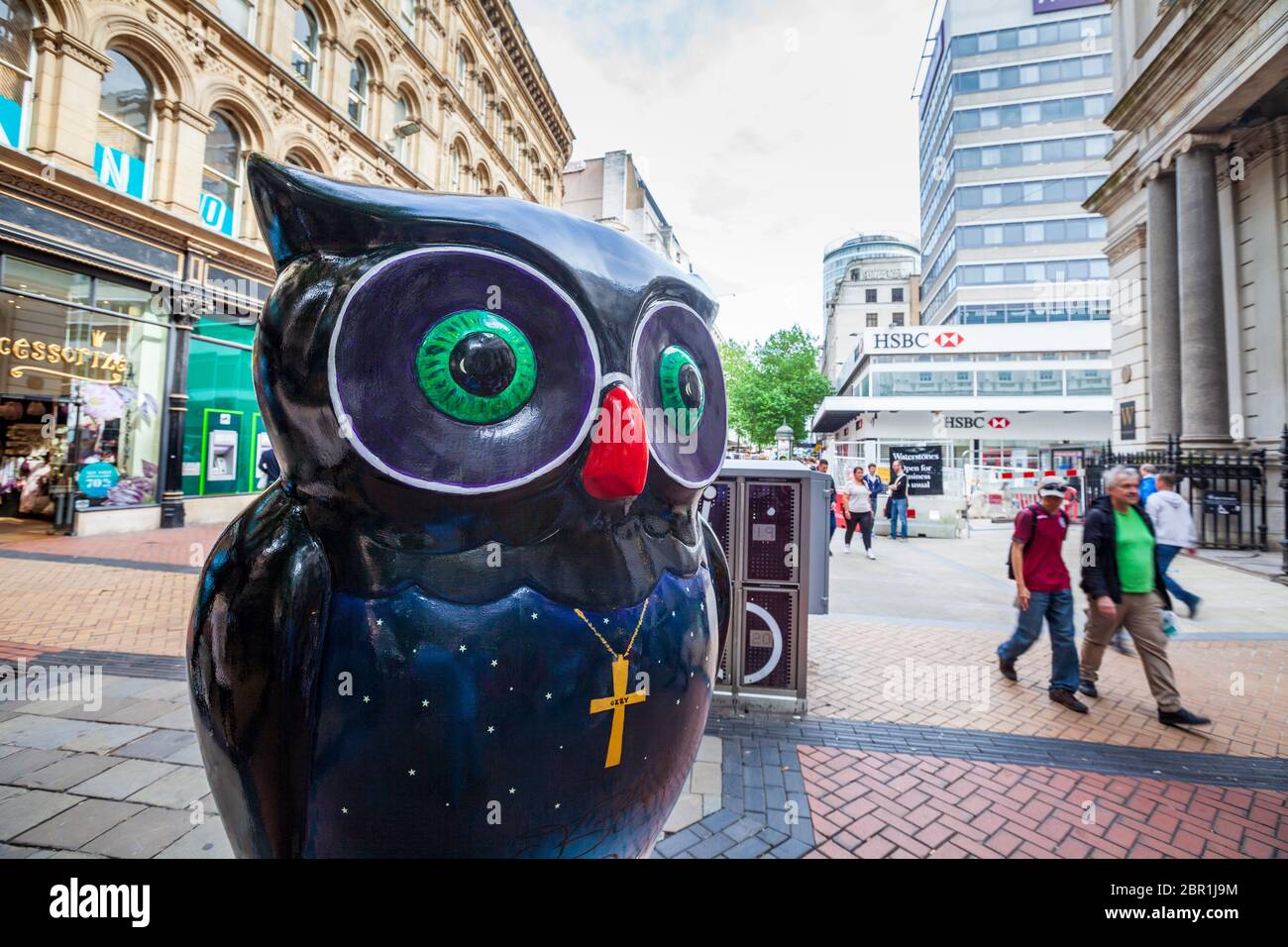 Ozzy owl hi-res stock photography and images - Alamy