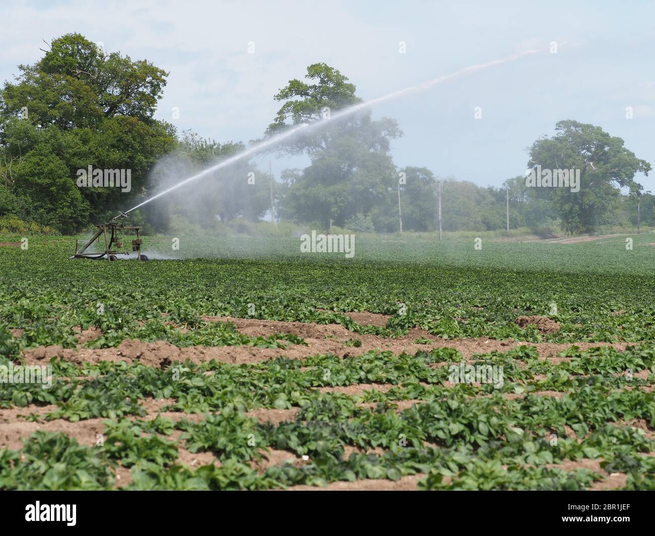 Crops being watered hi-res stock photography and images - Alamy