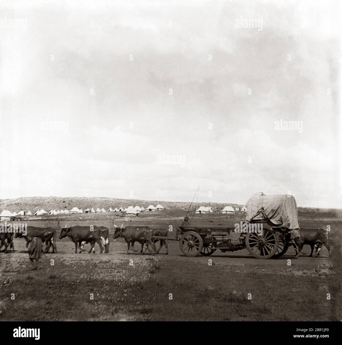 Colonialism Africa High Resolution Stock Photography and Images - Alamy