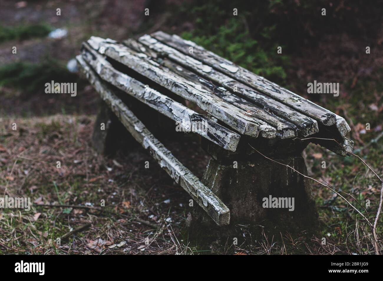 Old broken bench in the forest with peeling paint. Small focus at the ...
