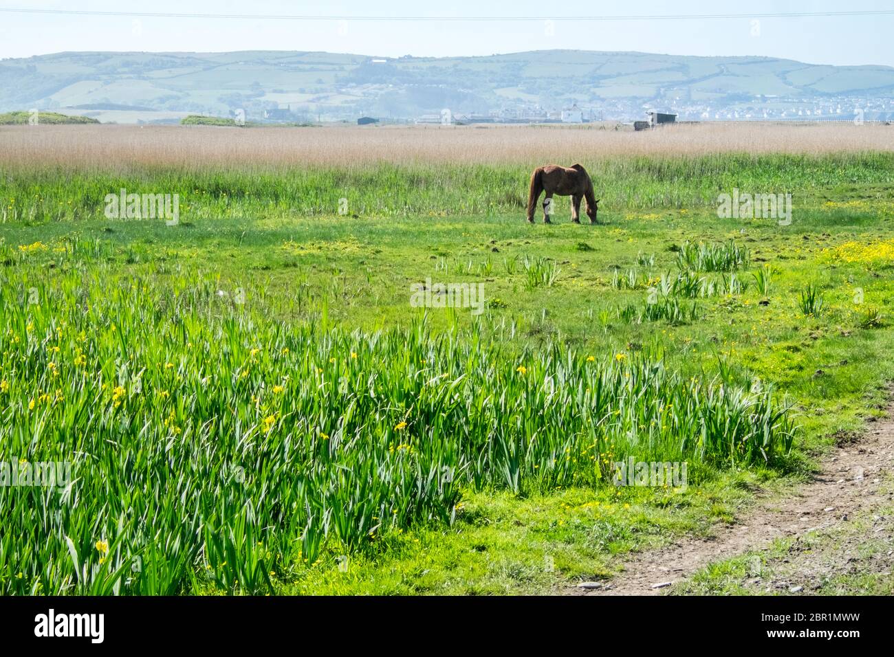 Peat the great north bog hi-res stock photography and images - Alamy