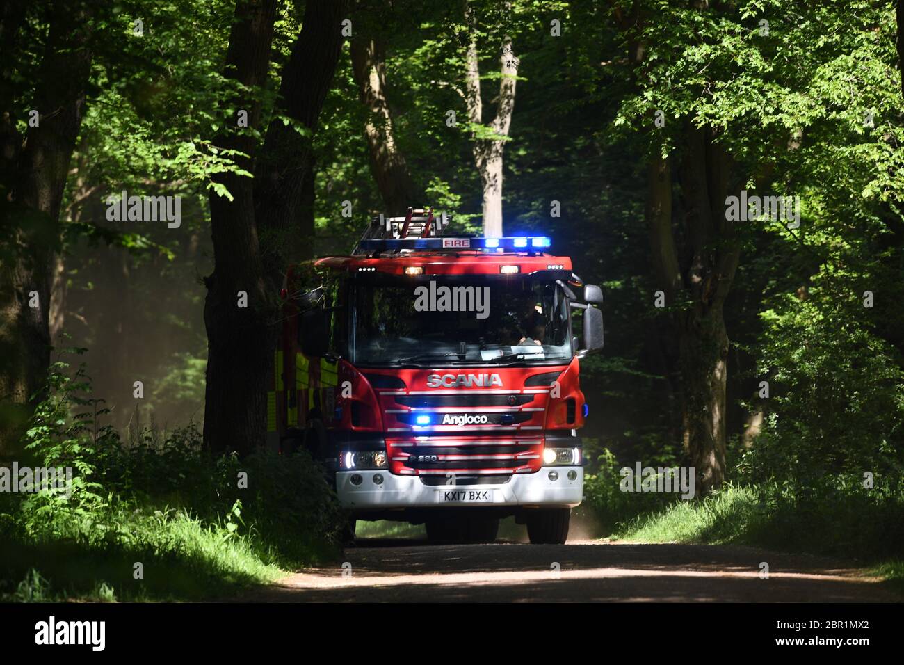 Fire engine drives along narrow track through epping forest hi-res ...