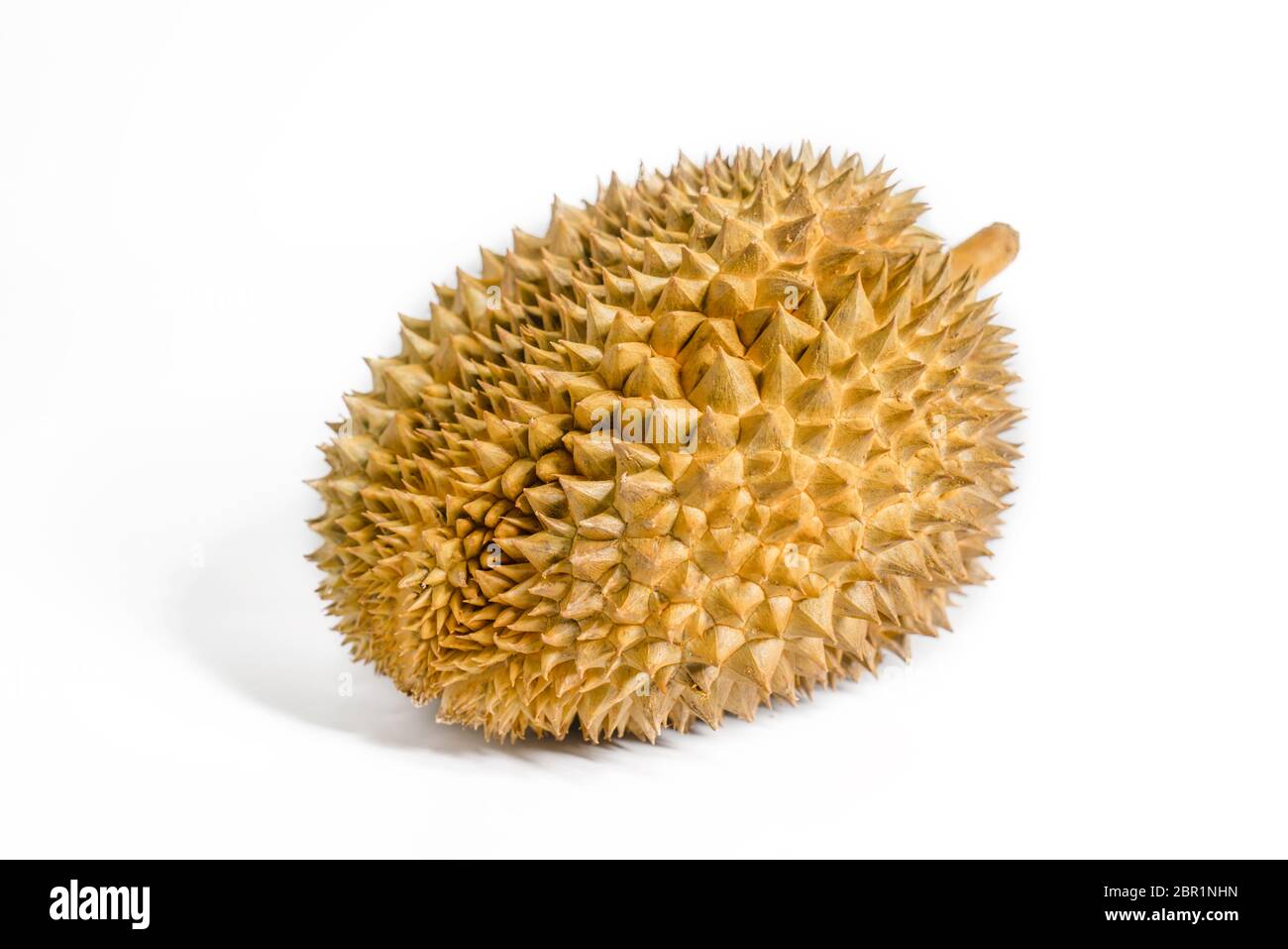 Single durian on the white background, still life photography Stock ...