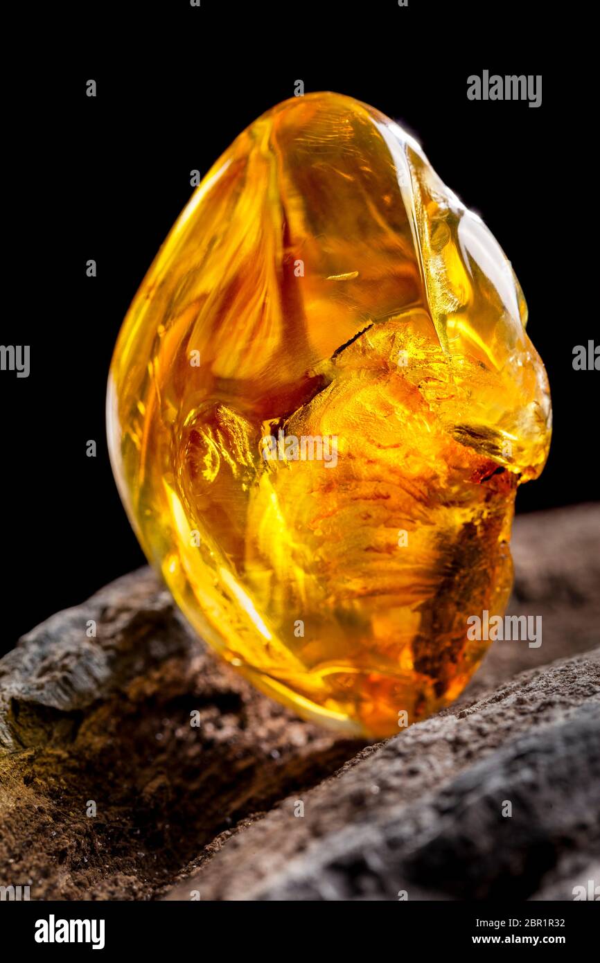 Succinite hi-res stock photography and images - Alamy