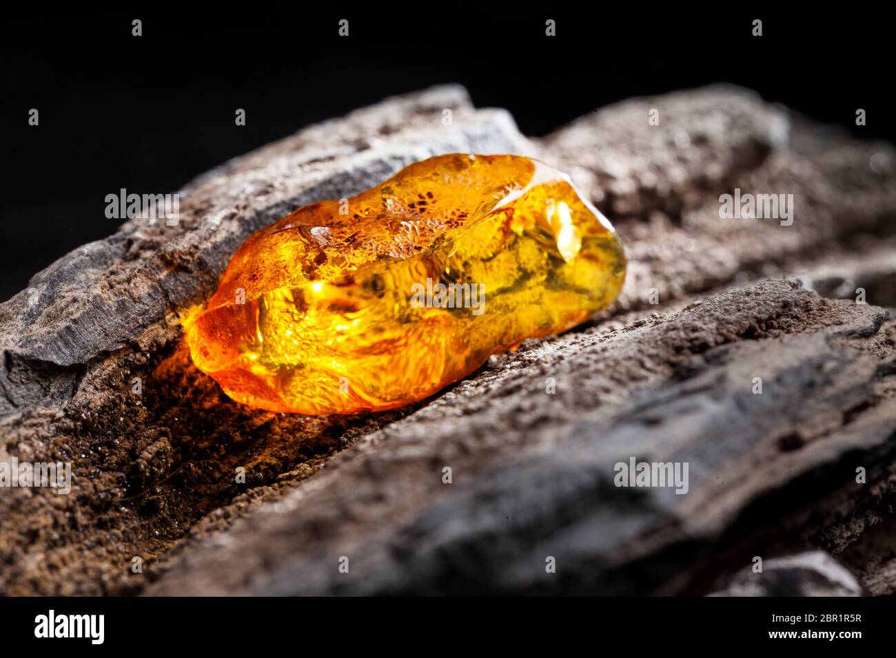 Succinite hi-res stock photography and images - Alamy