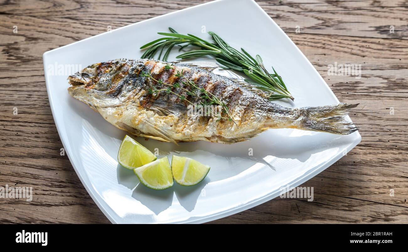 Dorade Royale Fish Stock Photo - Alamy