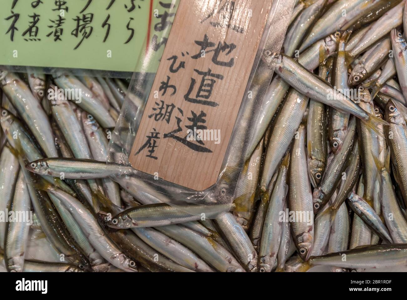 lots of small, silver fish, for sale in a Japanese market with signs ...