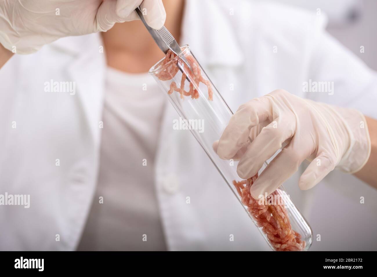 Food Quality Control Expert Inspecting At Meat Specimen In The ...