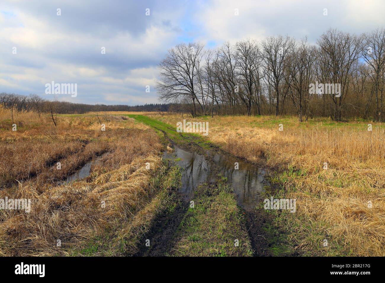 Landscape with dirt road on spring meadow Stock Photo - Alamy