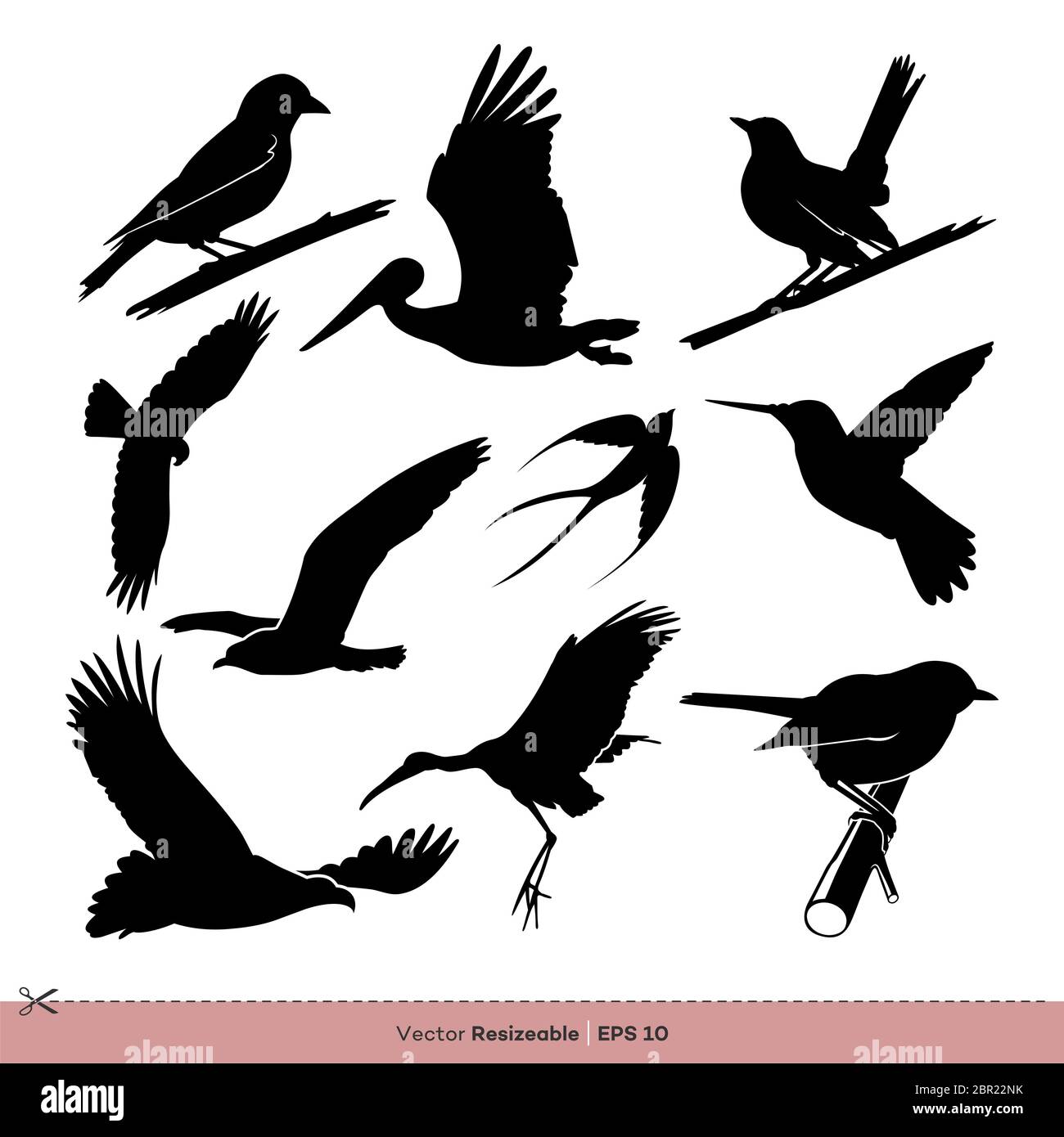 Mockingbird flying illustration hi-res stock photography and images - Alamy