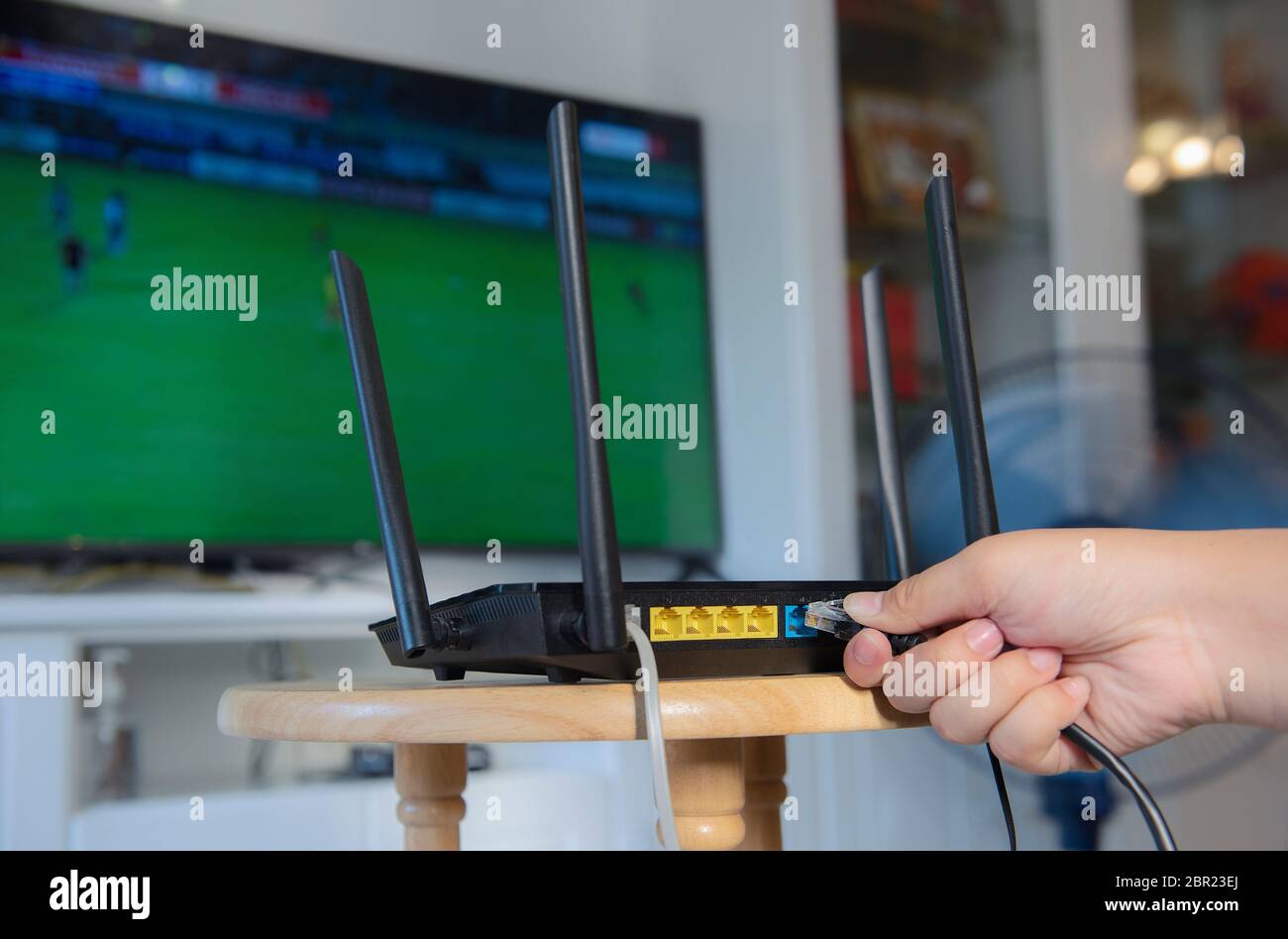 Women hand connects the internet cable to the router's socket Stock ...