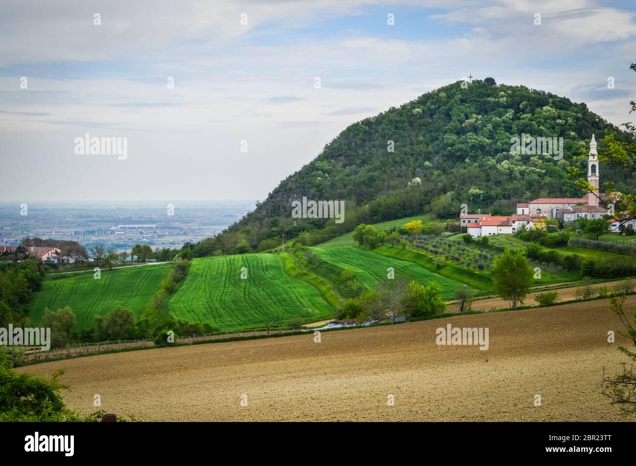 Panoramic view of the fields and vineyards on the Euganean Hills, near ...