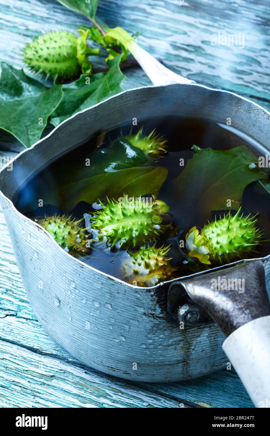 Apple potion hi-res stock photography and images - Alamy