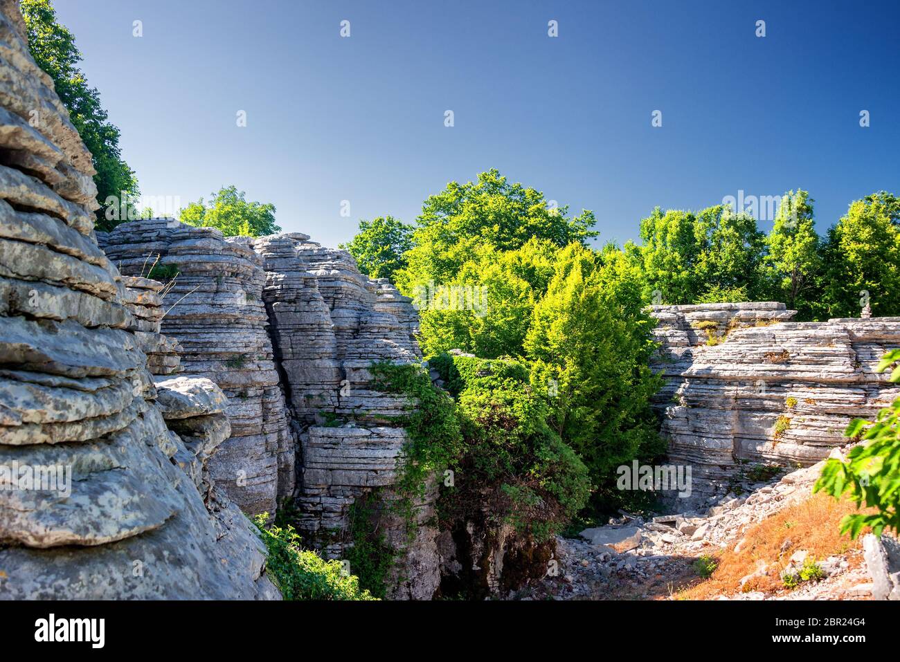 Stone forest, natural rock formation, created by multiple layers of ...