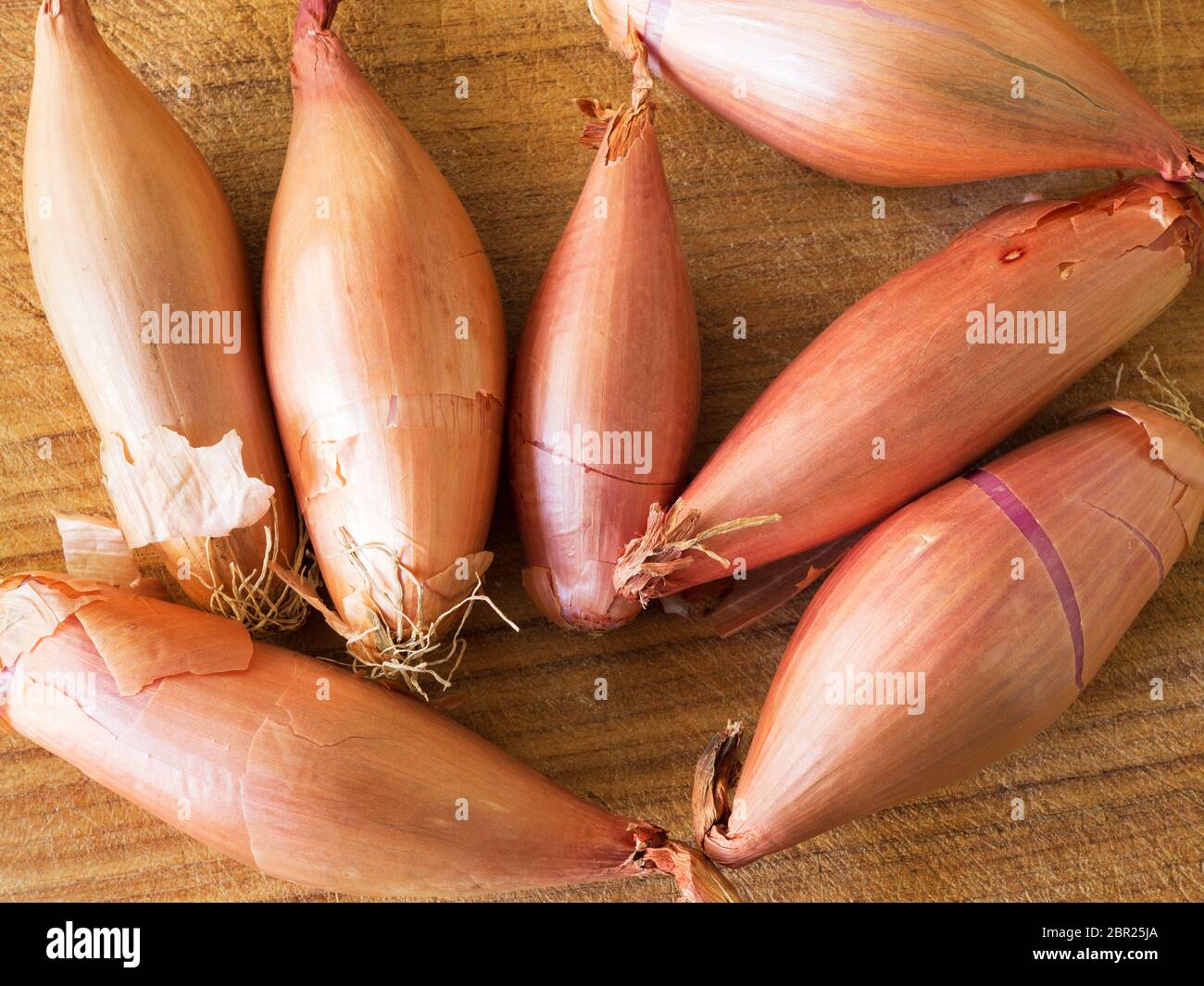 Echalion High Resolution Stock Photography and Images - Alamy