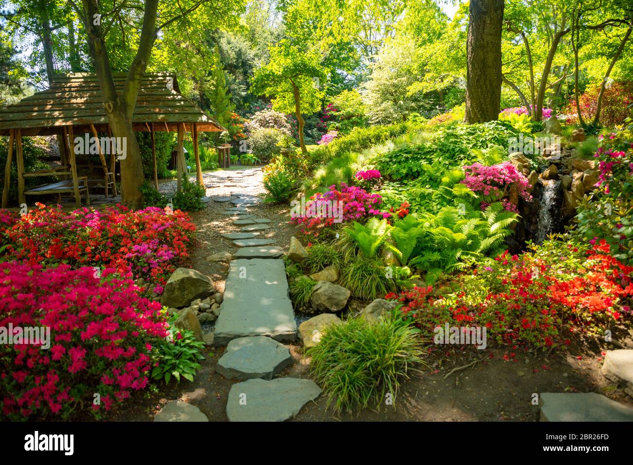 Green bush in japanese garden hi-res stock photography and images - Alamy