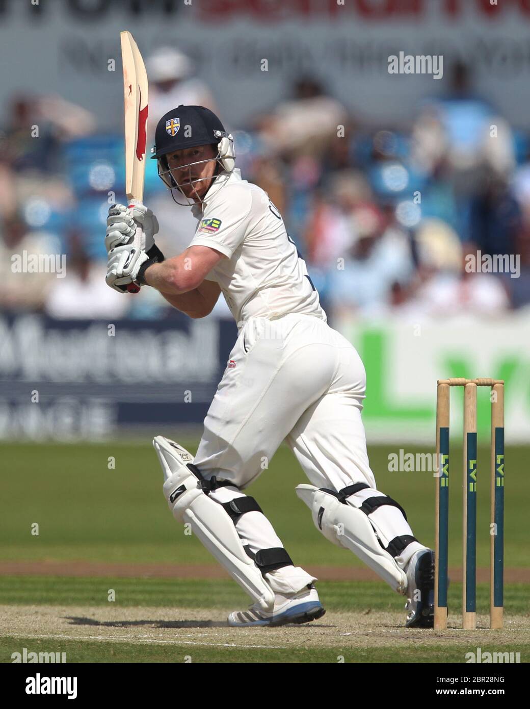 Paul collingwood hi-res stock photography and images - Alamy