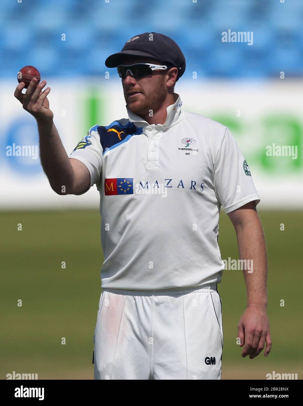 Andrew gale and yorkshire hi-res stock photography and images - Alamy