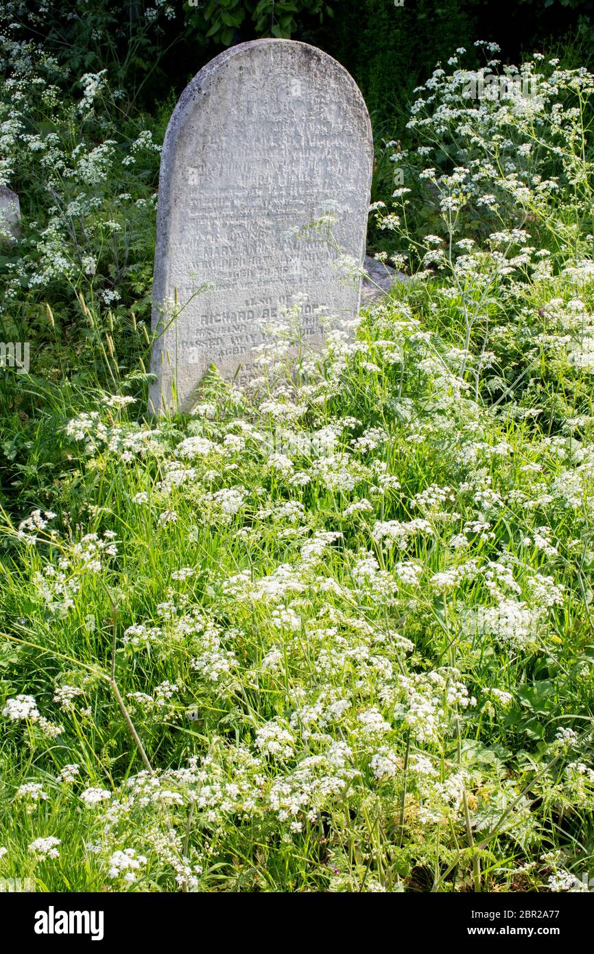 Gravestone in Brompton Cemetery, Old Brompton Road, London, UK; one of ...
