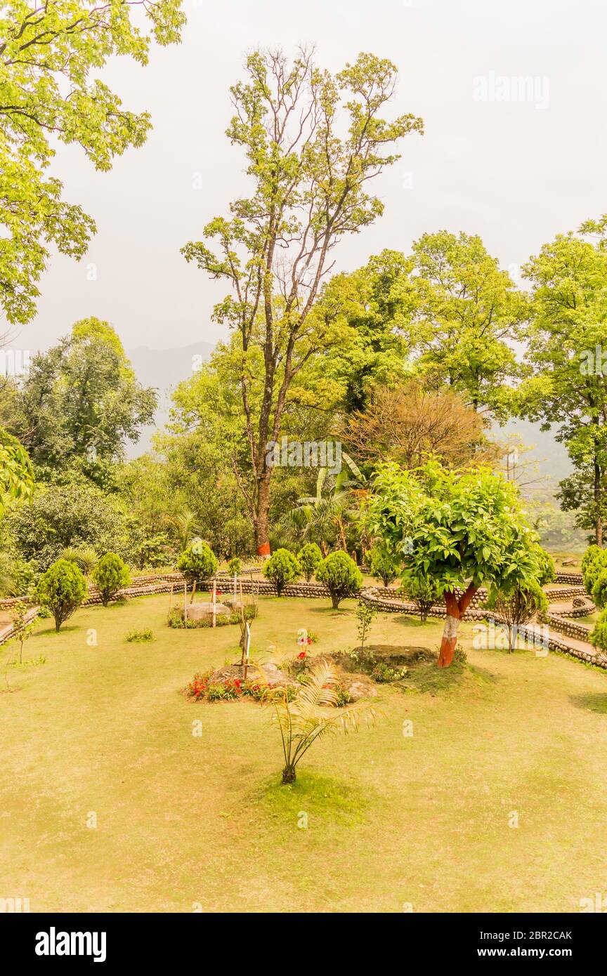 garden with plants and flowers around green field of grass, captured in ...