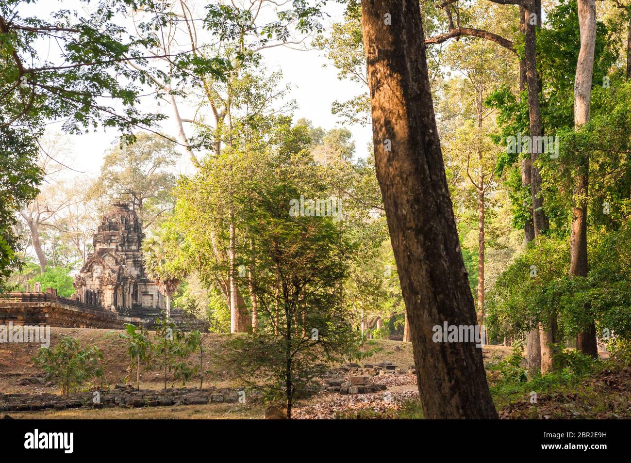 Ancient ruins in the forest at Angkor Thom. Angkor, UNESCO World ...