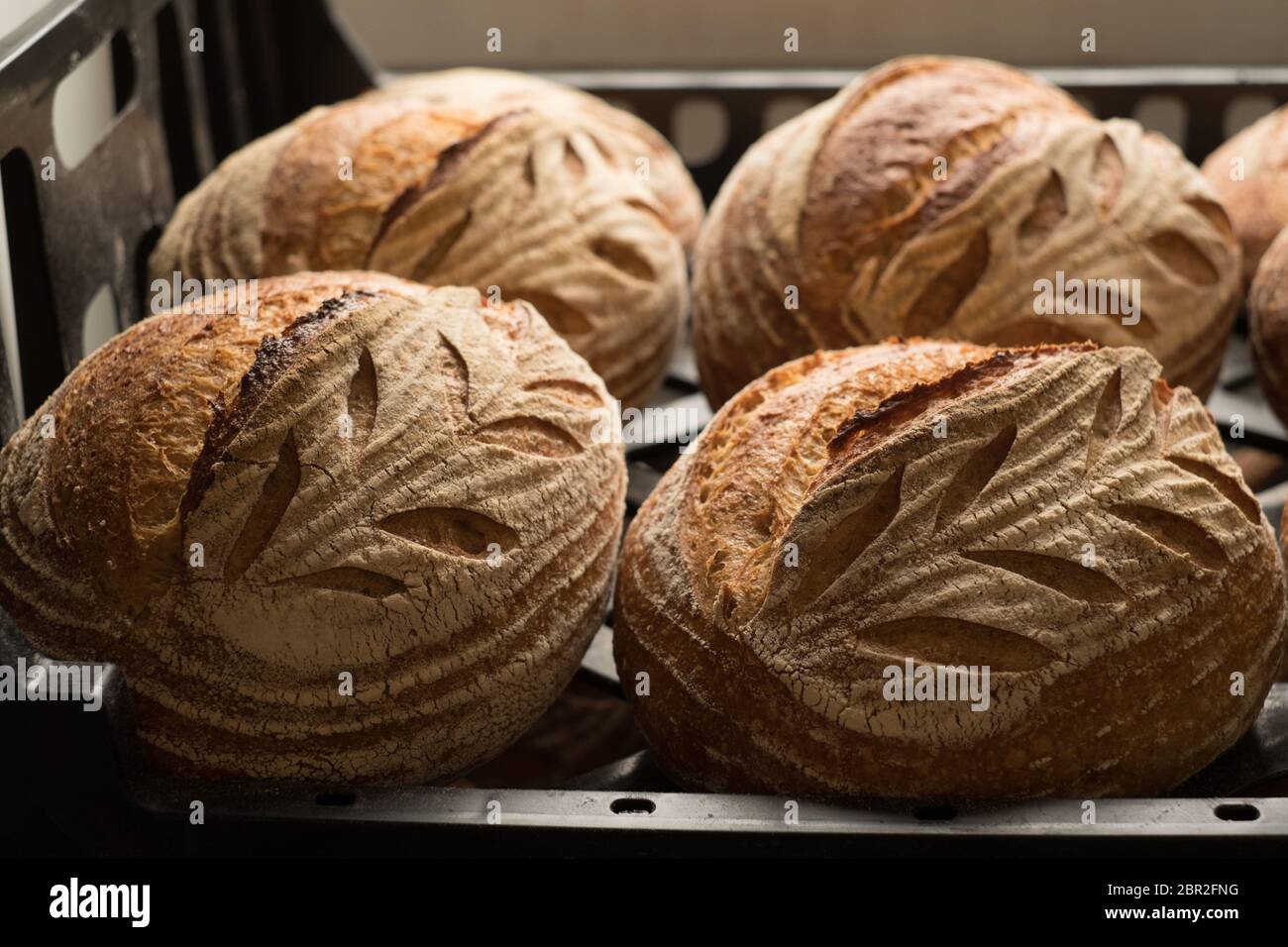Sourdough loaves made by Johnny Spillings at his Penny Bun Bakehouse in ...