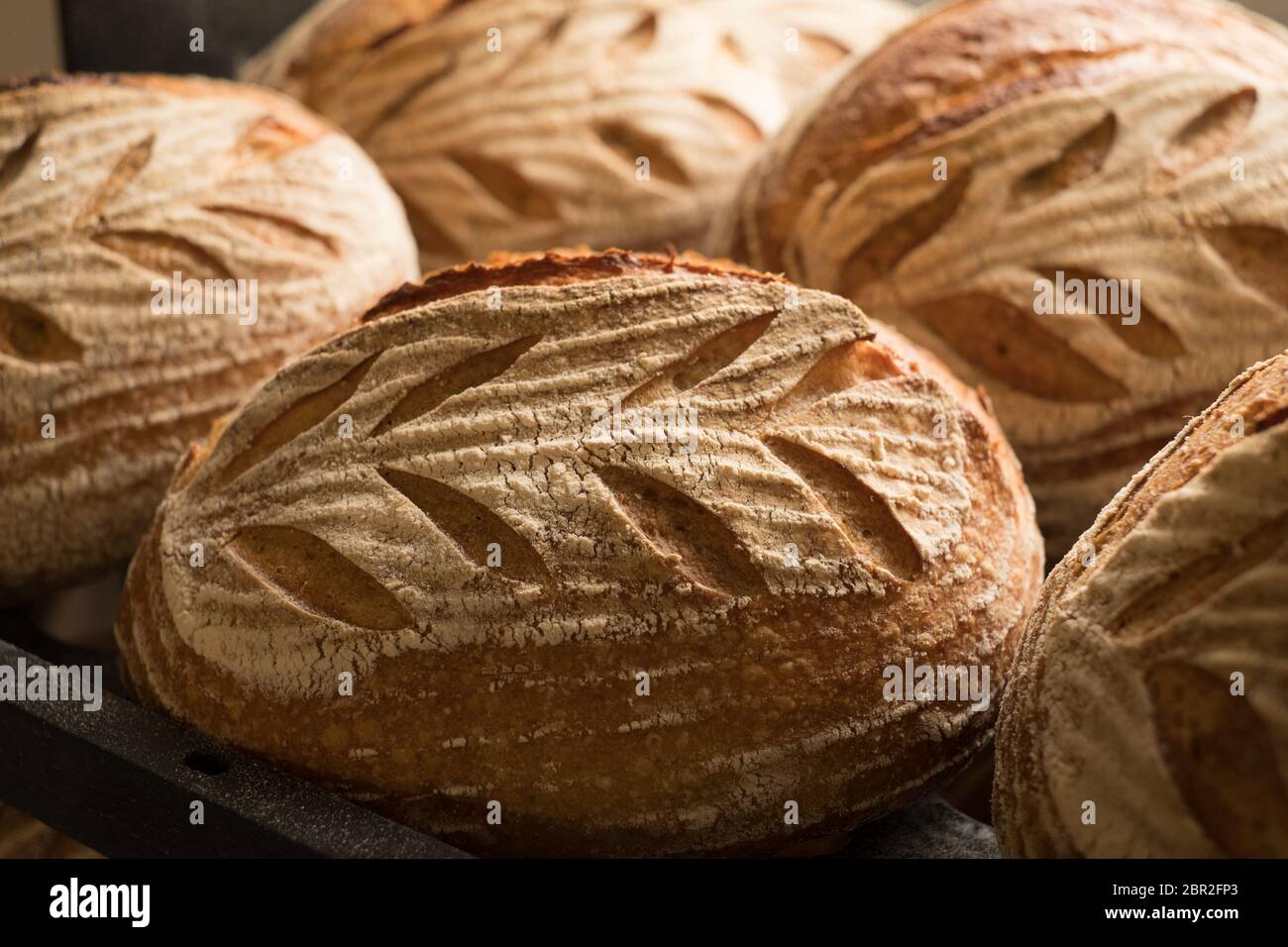 Penny Bun Bakehouse High Resolution Stock Photography and Images - Alamy