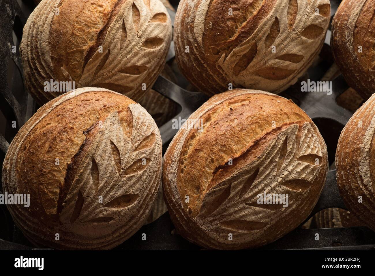Sourdough loaves made by Johnny Spillings at his Penny Bun Bakehouse in ...