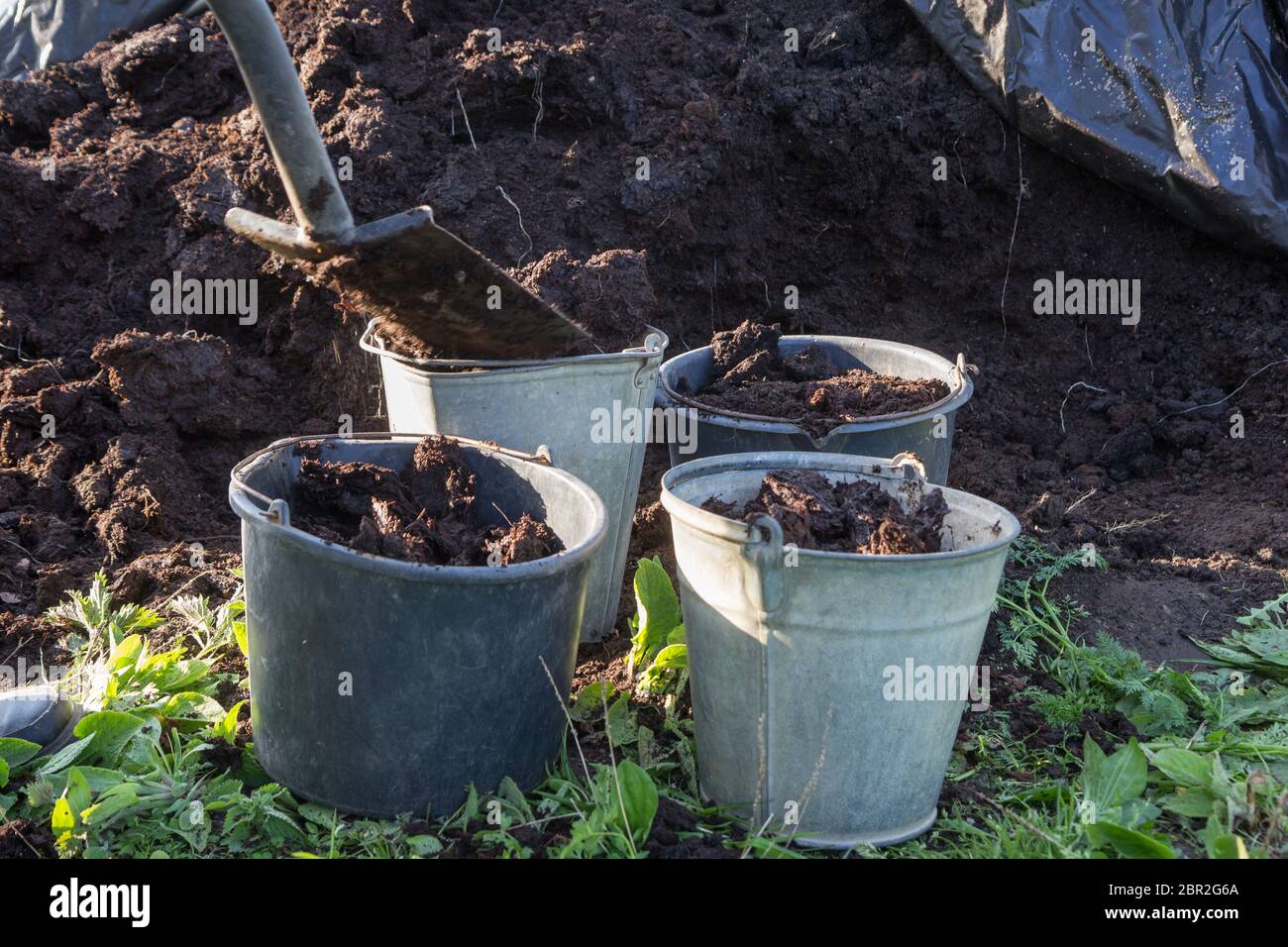 Manure in a bucket hi-res stock photography and images - Alamy