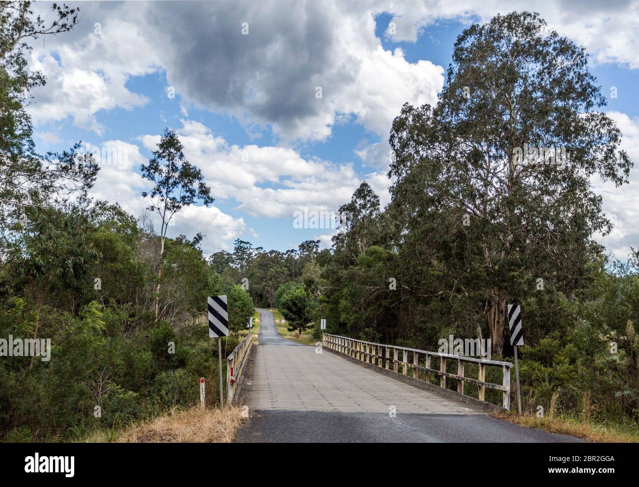 High country forest in the Great Dividing Range, Australia’s most ...